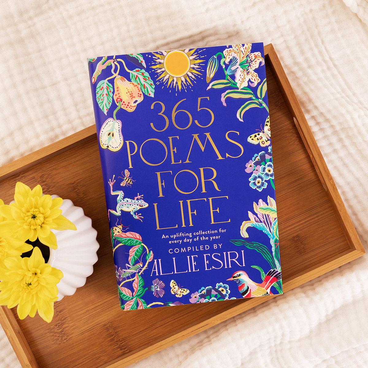 Allie Esiri’s 365 Poems For Life With Susan Wokoma, David Morrissey ...